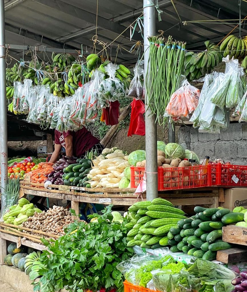 Bucari Pine Forest – Leon Iloilo Tourism